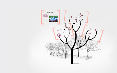 Car Wash by Tyler-Nicole Borja on Prezi