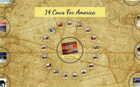 14 Cows For America by Donette Porter on Prezi