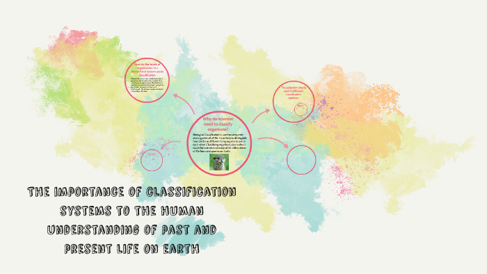 The importance of classification systems to the human unders by sabrina ...