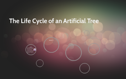 The Life Cycle of an Artificial Tree by Rachel Wright on Prezi