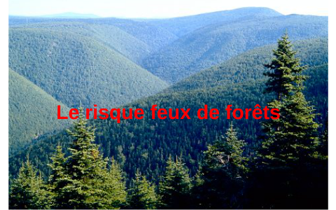 Le phénomène feu de forets by Adrien DONAT on Prezi