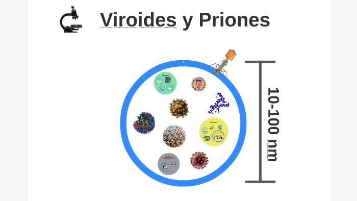 Viroides by Alejandro Gallego on Prezi