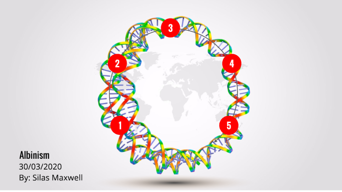 melanin concept map by Silas Maxwell on Prezi