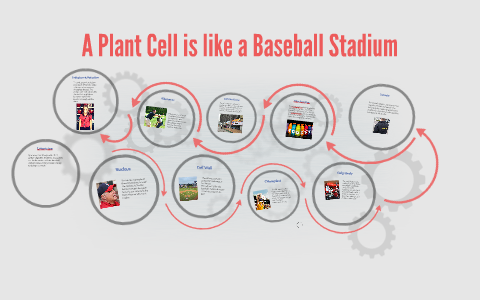 A Cell is like a Baseball Stadium by Joceline Gonzalez on Prezi