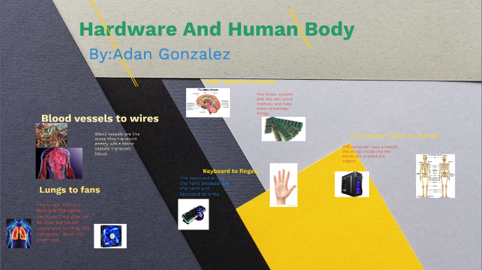 Hardware and Human Body by Adan Gonzalez on Prezi