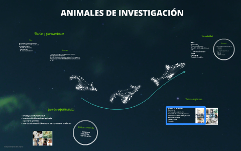 ANIMALES DE INVESTIGACIÓN by Daya Navarrete
