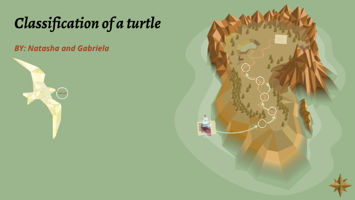 Classification of a turtle by tasha eyeoyibo on Prezi