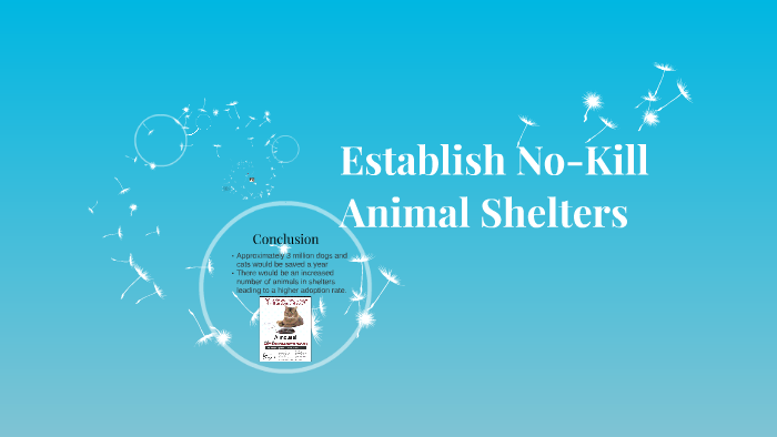 Establish No-Kill Animal Shelters by Shareef Khan on Prezi