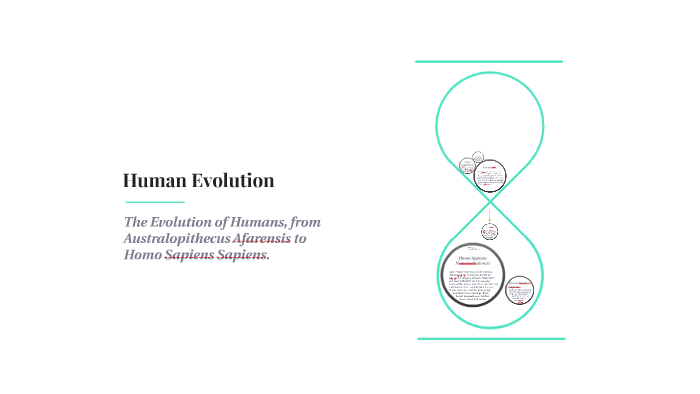 Human Evolution by Maple Buescher on Prezi