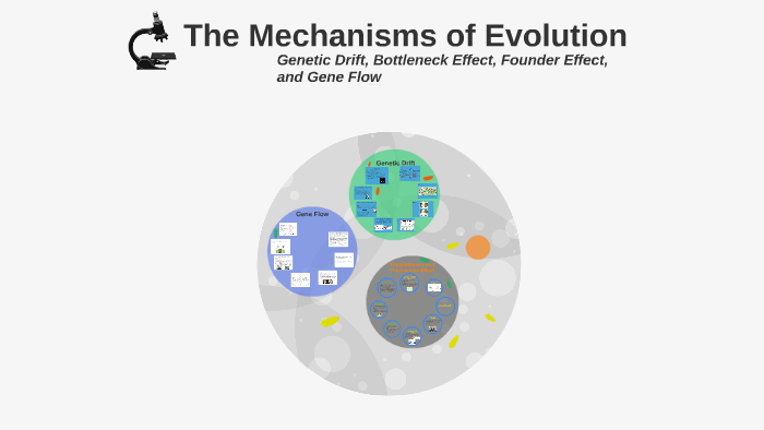 Mechanisms of Evolution by on Prezi
