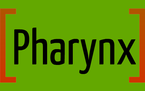 Anatomy Prezi By Derek Scott On Prezi