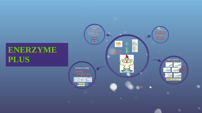 ENERZYME PLUS by frans toy on Prezi