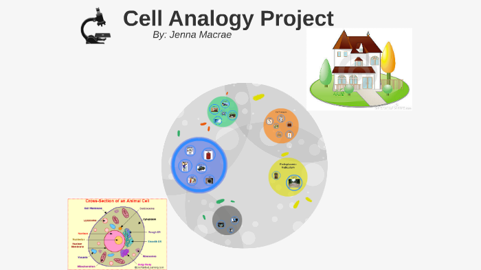 Cell Analogy Project by Jenna Macrae on Prezi