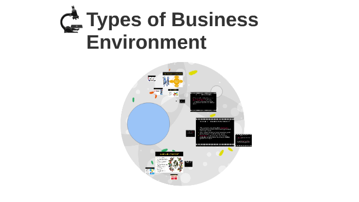 Types of Business Environment by alex barrameda on Prezi