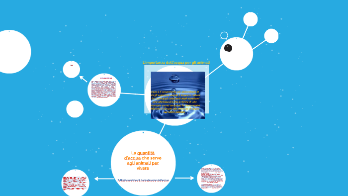 L'importanza dell'acqua per gli animali by Sara Bizzotto on Prezi