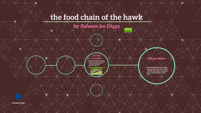 the food chain of the hawk by Raheem Lee Diggs on Prezi