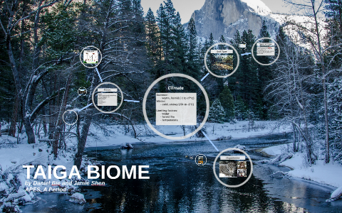 Taiga Biome Presentation by on Prezi