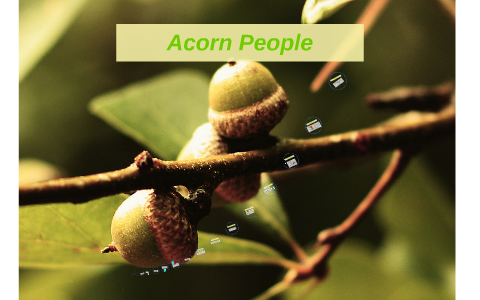 Acorn People by Grace McTigue on Prezi