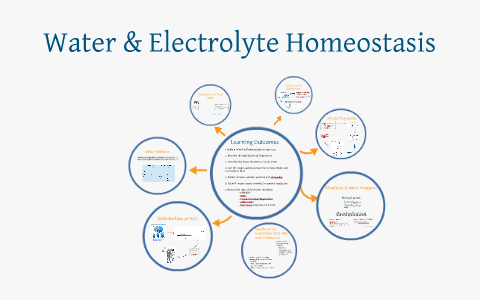 Water & Electrolyte Homeostasis by andre caron on Prezi