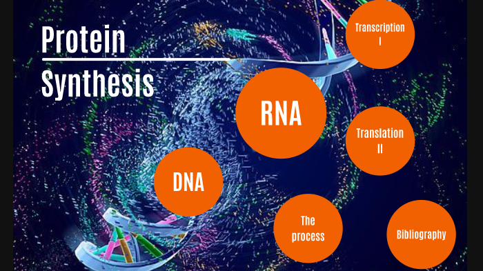 Protein Synthesis by Marcus Bethea on Prezi