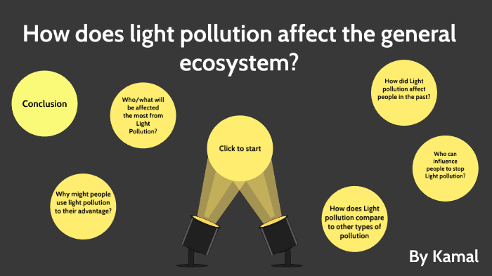 How does light pollution affect the general ecosystem? by KA - 07CA ...