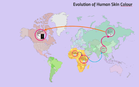 Evolution of Human Pigmentation by Susan Ivanova on Prezi