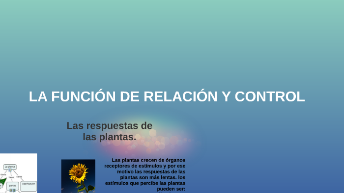 LA FUNCIÓN DE RELACIÓN Y CONTROL by Agustina Rivadeneyra on Prezi