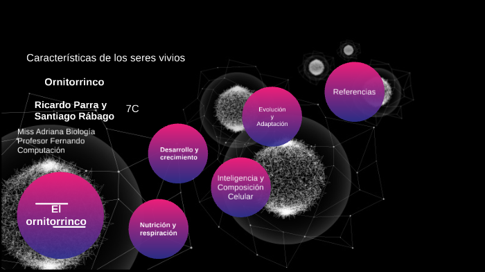Ornitorrinco by Santiago Rabago on Prezi