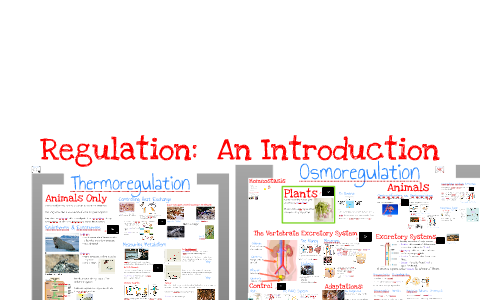 Forbes-AP Bio- Physiology 5: Thermoregulation & Osmoregulation by Shani ...