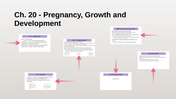 Ch. 20 - Pregnancy, Growth and Development by on Prezi