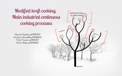 Modified Continuous cooking by Elizaveta Gogoleva on Prezi