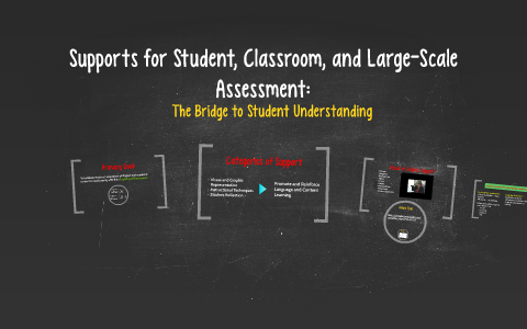 Supports For Student Classroom And Large Scale Assessment By Luis