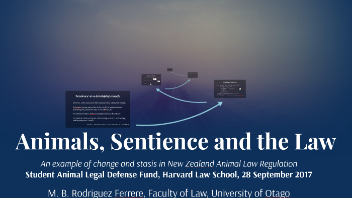 Animals, Sentience and the Law by Marcelo Rodriguez Ferrere on Prezi