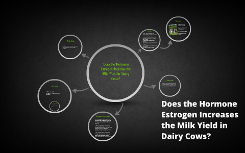 Does the Hormone Estrogen Increase the Milk Yield in Dairy C by Jasmin ...