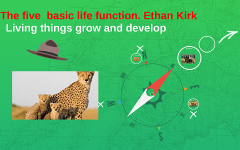 The five basic life function. Ethan Kirk by REBECCA BAGGETT on Prezi