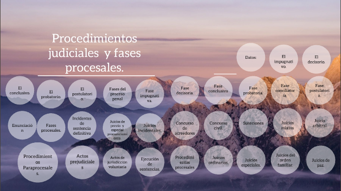 Procedimientos judiciales y fases procesales by Karla Várguez Moreno on ...