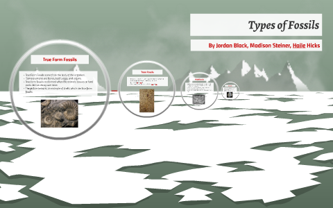 Types of Fossils by on Prezi