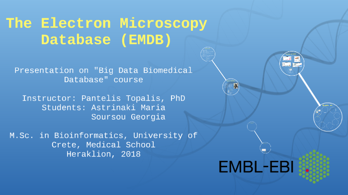 Electron Microscopy Database by Georgia Soursou on Prezi