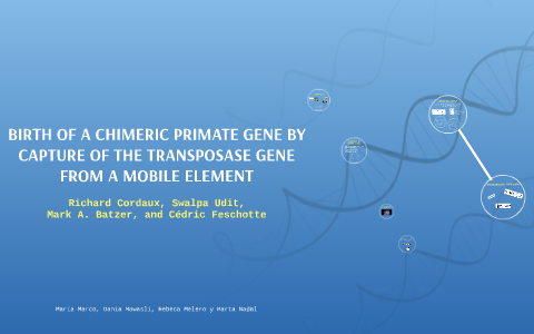 BIRTH OF A CHIMERIC PRIMATE GENE BY CAPTURE OF THE TRANSPOSA by Marta ...