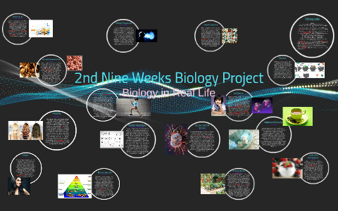 2nd Nine Weeks Biology Project by Emily Chao