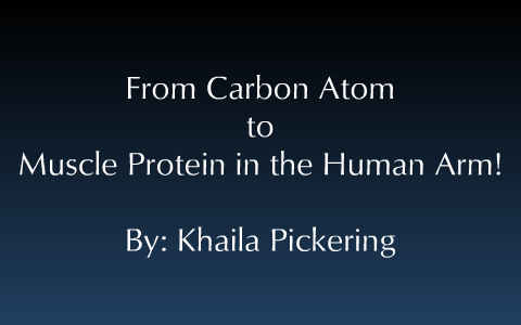 From Carbon Atom to Muscle Protein in the Human Arm by Khaila Pickering ...