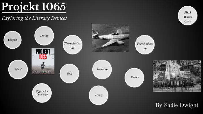 Projekt 1065 by Sadie Dwight on Prezi