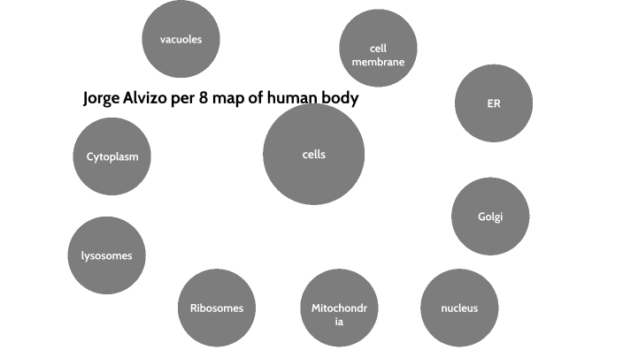 Map of human body by Jorge Alvizo