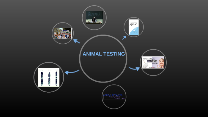 PRO ANIMAL TESTING by moira wilson on Prezi