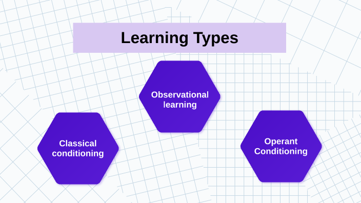 learning types by Tefenet Banos on Prezi