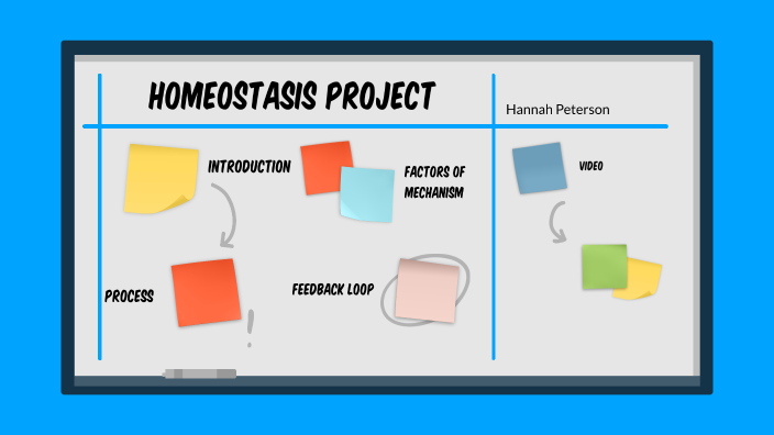 Homeostasis Project- Hannah Peterson by Hannah Peterson on Prezi