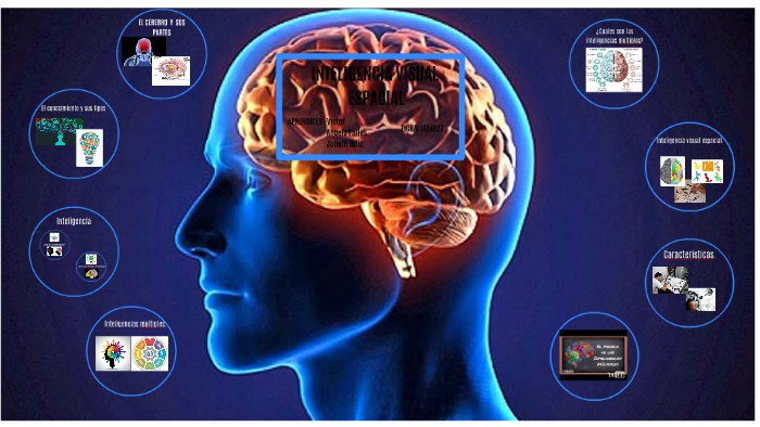 INTELIGENCIA VISUAL ESPACIAL. by julieth ortiz on Prezi