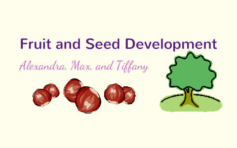 Fruit and Seed Development by Max B. on Prezi
