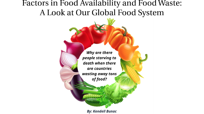 Factors in Food Availability, and Food Waste: A Look at Our Global Food ...