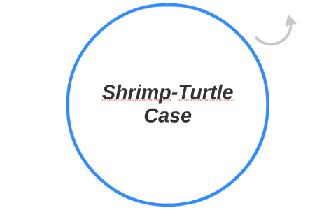 Caso shrimp-turtle by on Prezi